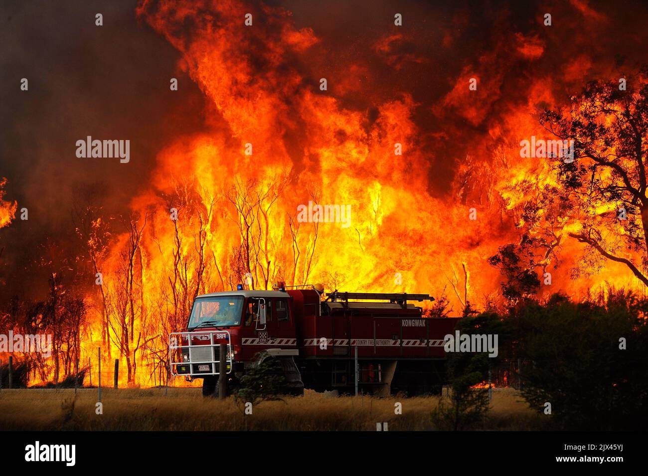 Fire fighters battle bushfires burning at the Bunyip State Forest near ...