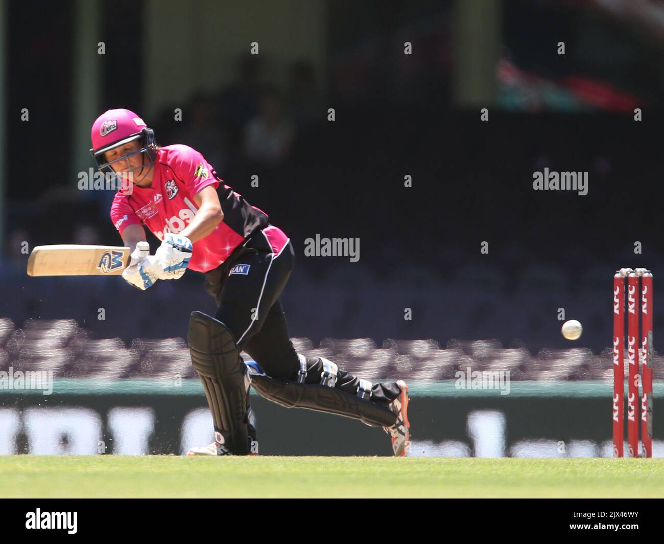 Sara McGlashan of the Sixers bats during the WBBL T20 match between the ...