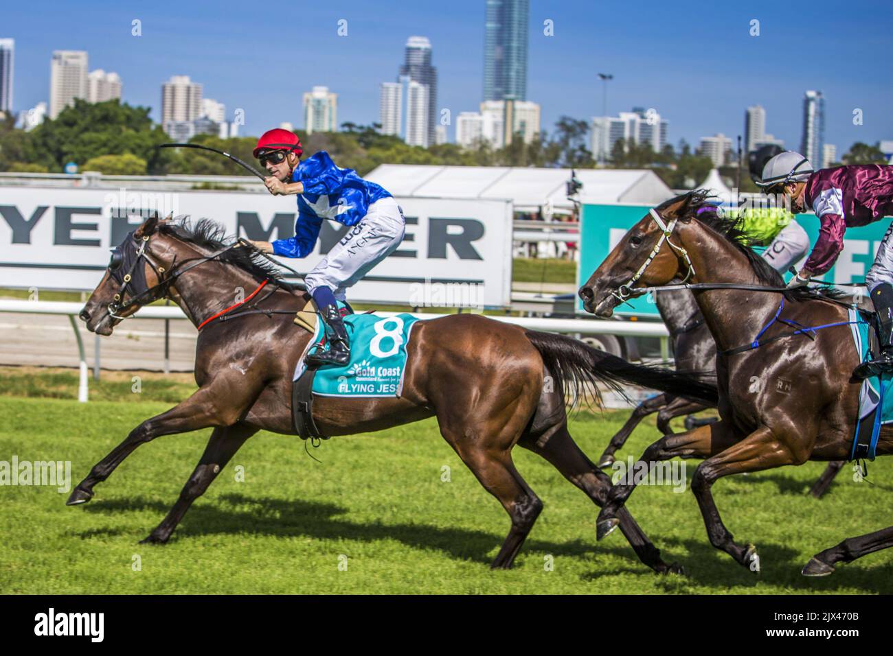Jockey Tye Angland riding Flying Jess wins the 3YO Guineas at the Magic ...