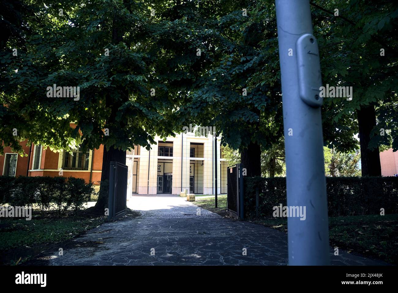 Facade and entrance of a modern building framed by trees and a hedge ...