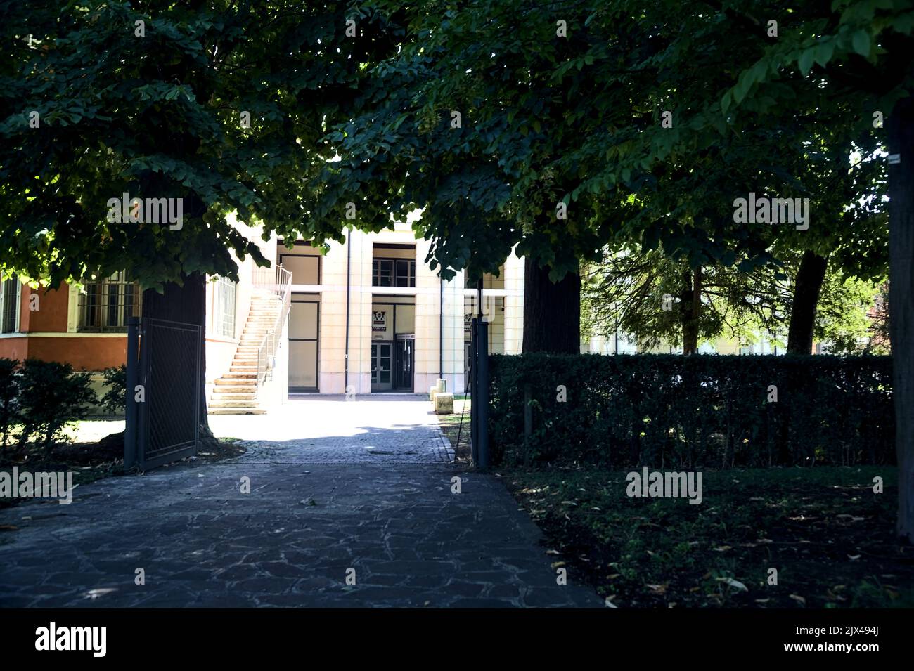Facade and entrance of a modern building framed by trees and a hedge ...