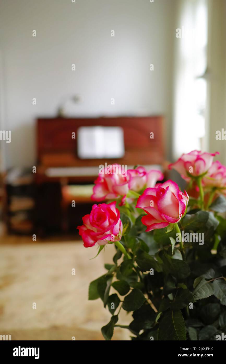 Piano imagination hi-res stock photography and images - Alamy