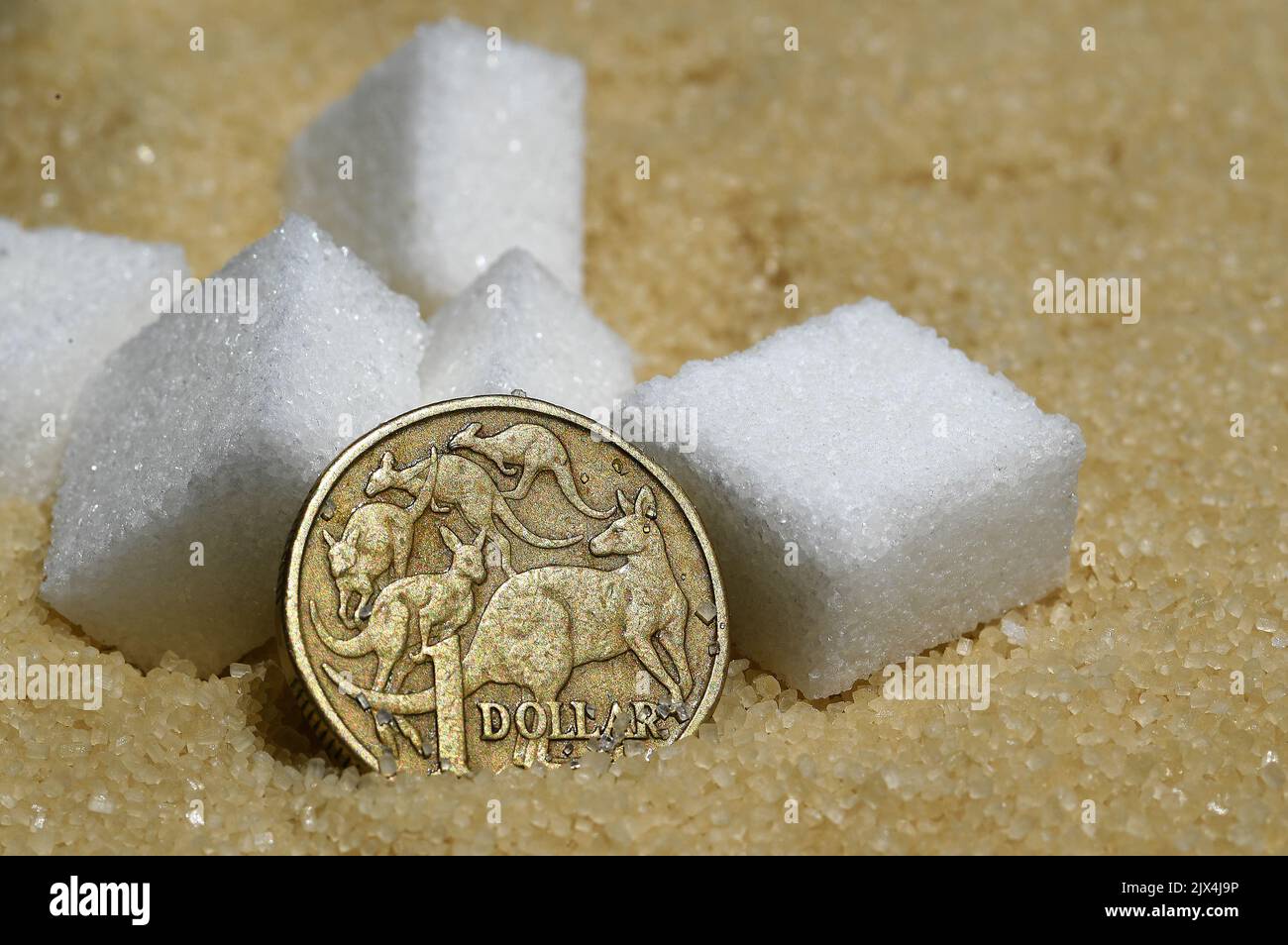 A generic image of a dollar coin sitting in amongst sugar cubes ...