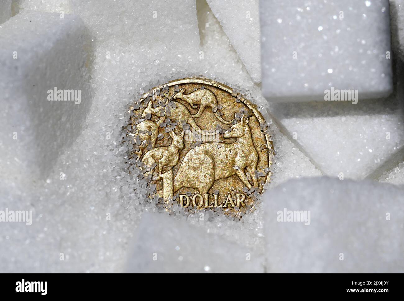 A generic image of a dollar coin sitting in amongst sugar cubes ...