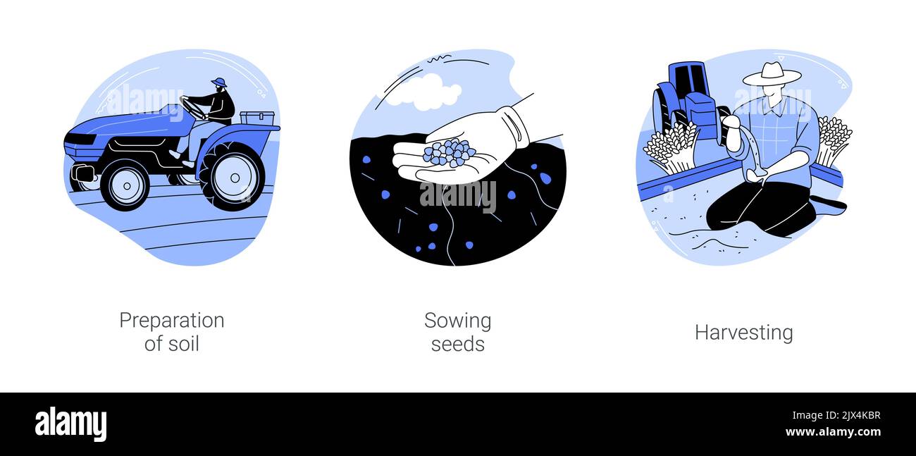 Cultivation of crops isolated cartoon vector illustrations se Stock ...