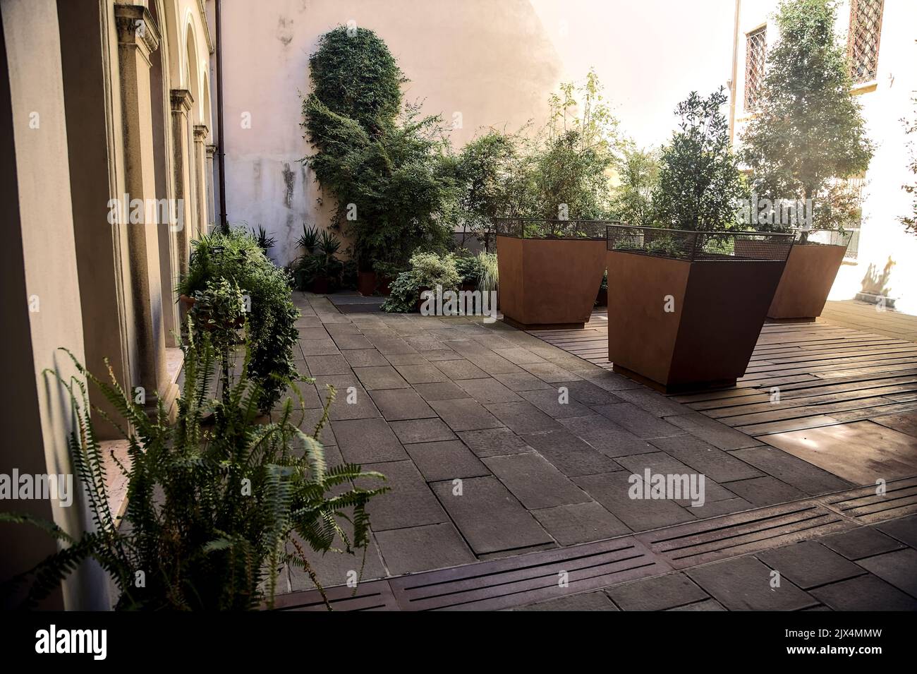 Potted plants in a courtyard in the shade Stock Photo - Alamy