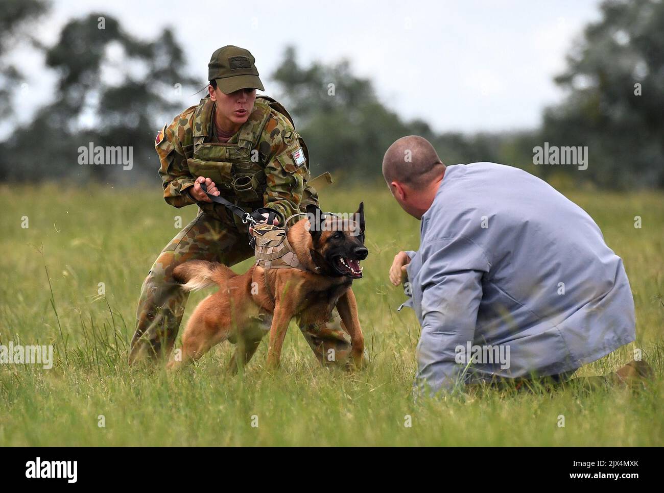 Military working dog Sev and his handler Te Ana Mitchell engage in an ...