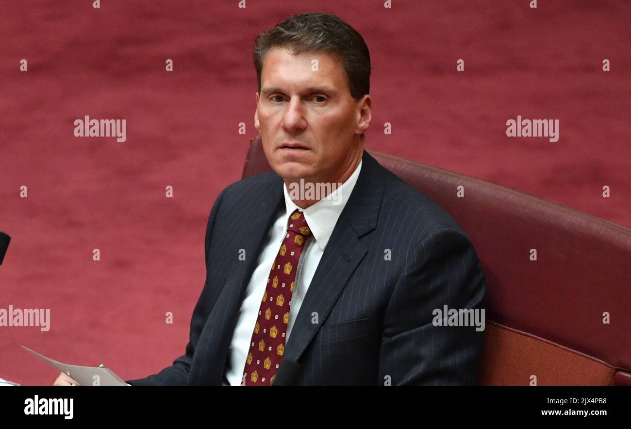 Cory Bernardi in the Senate chamber at Parliament House in Canberra ...