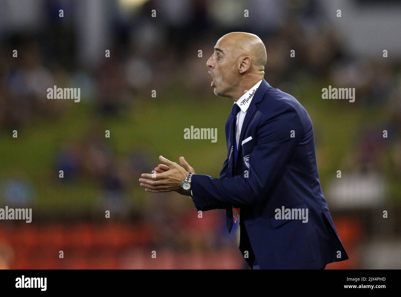Melbourne Victory coach Kevin Muscat shouts instructions during the ...
