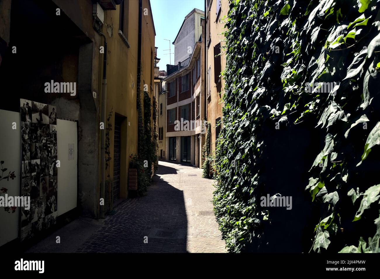 Narrow alley partly in the shade with ivy climbing on a wall Stock ...