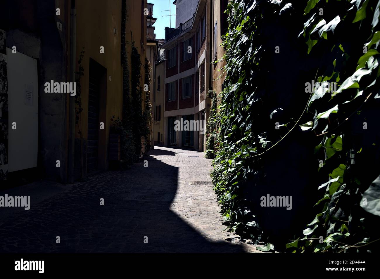 Narrow alley partly in the shade with ivy climbing on a wall Stock ...