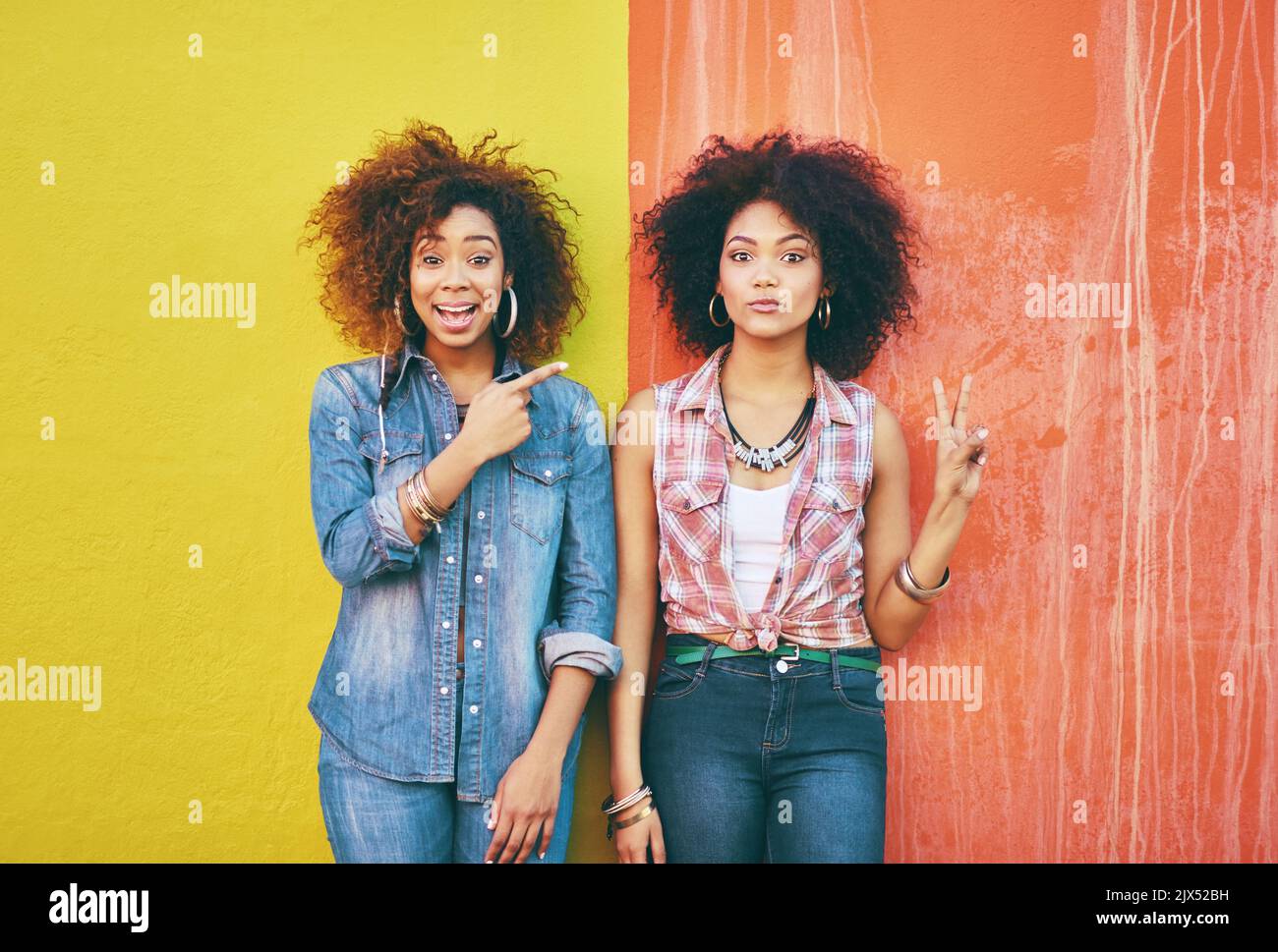 Shes my kind of crazy. Portrait of two young friends posing against a ...