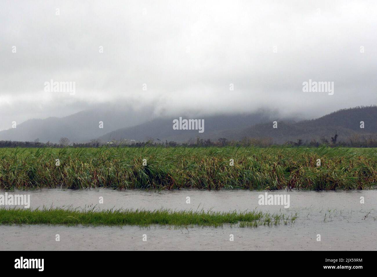 Crops are seen flooded with water following Cyclone Debbie south of ...