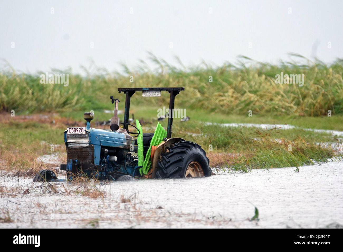 A tractor is seen inundated with water on a property south of Bowen ...