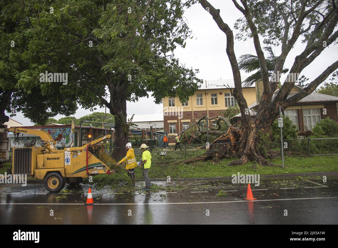 Cleanup crew clearing a large tree which fell on Mackay Central State ...