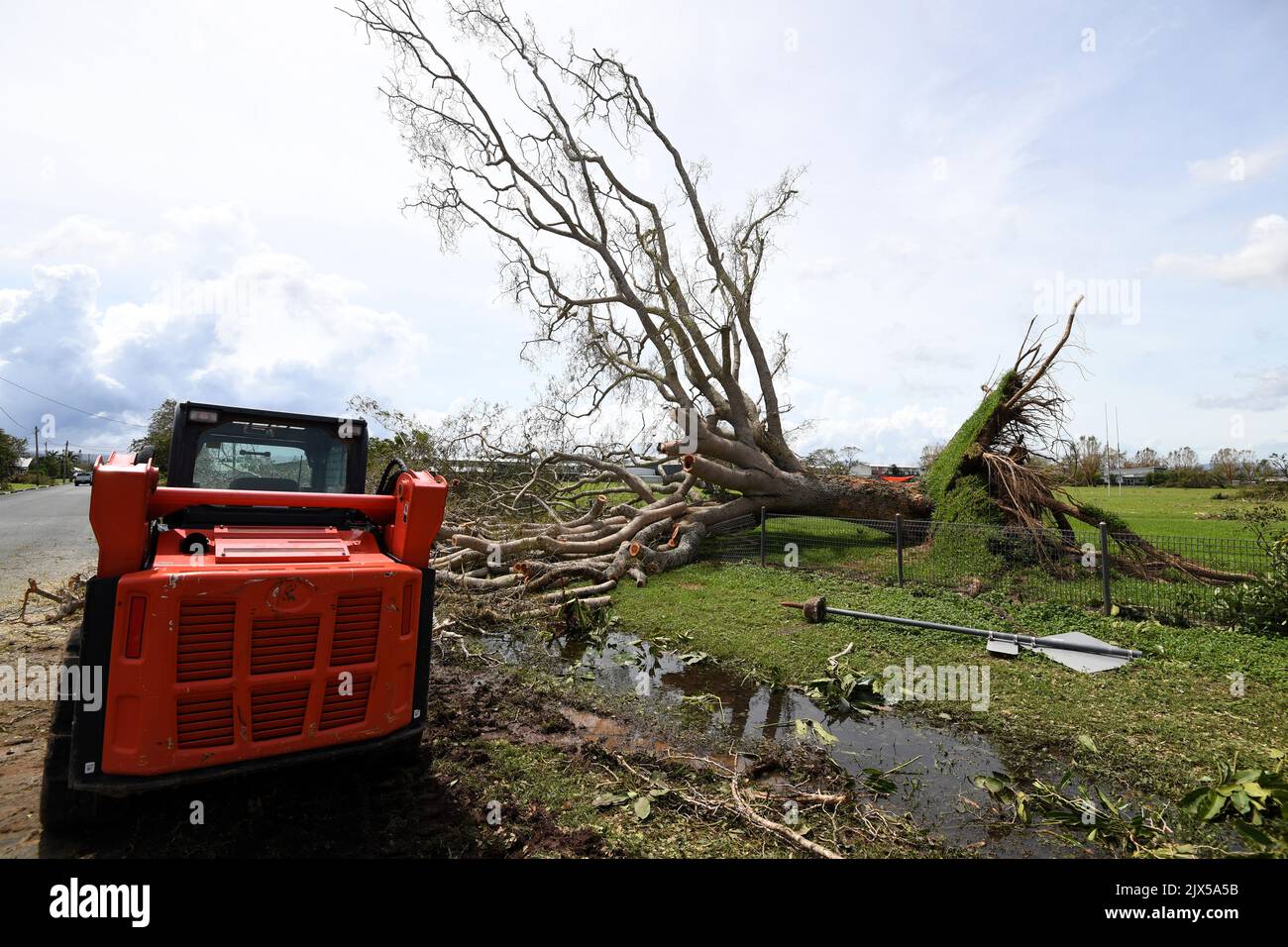 A large tree is uprooted in Proserpine, Thursday, March 30, 2017 ...