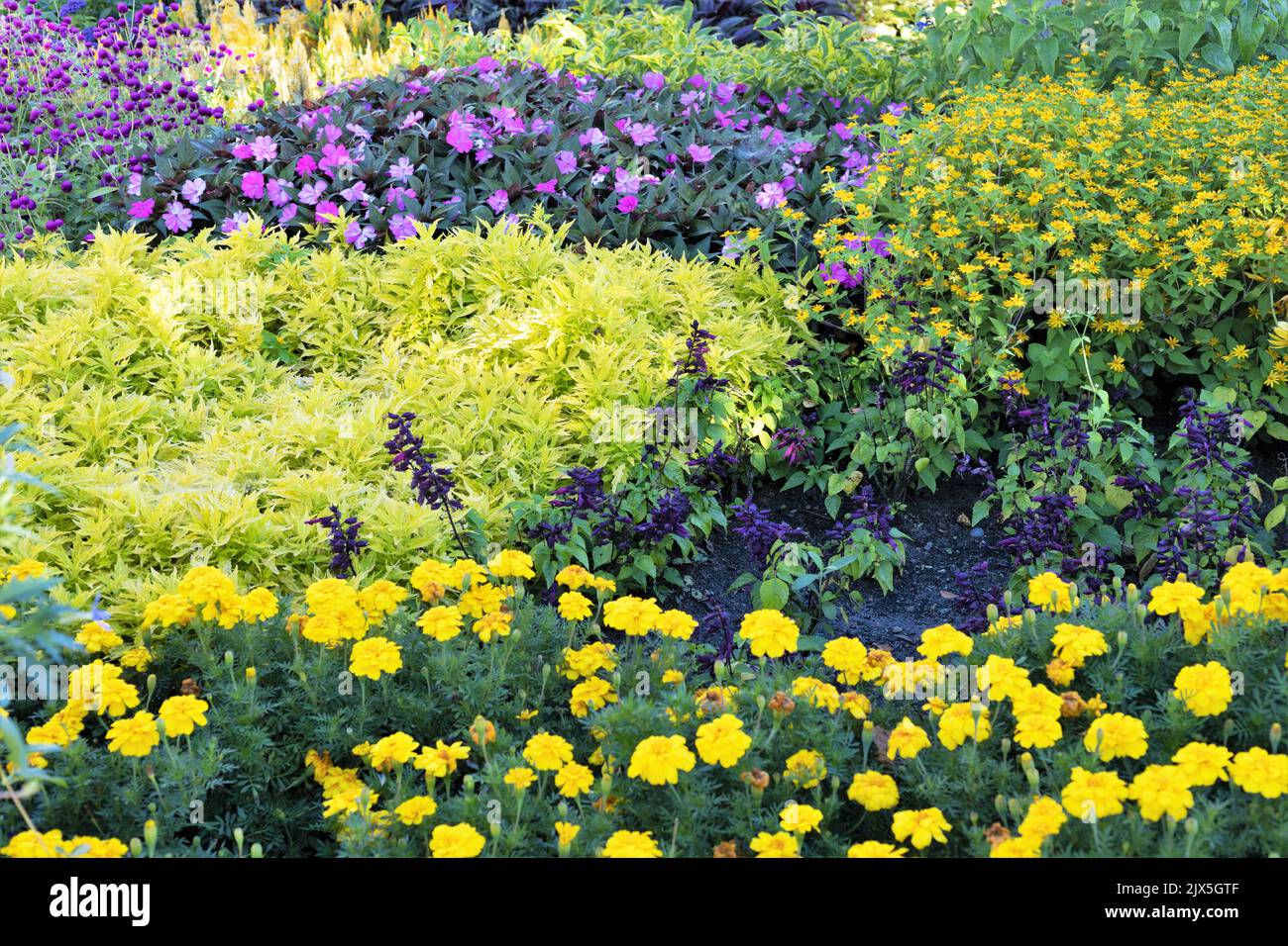 Complementary colour hi-res stock photography and images - Alamy