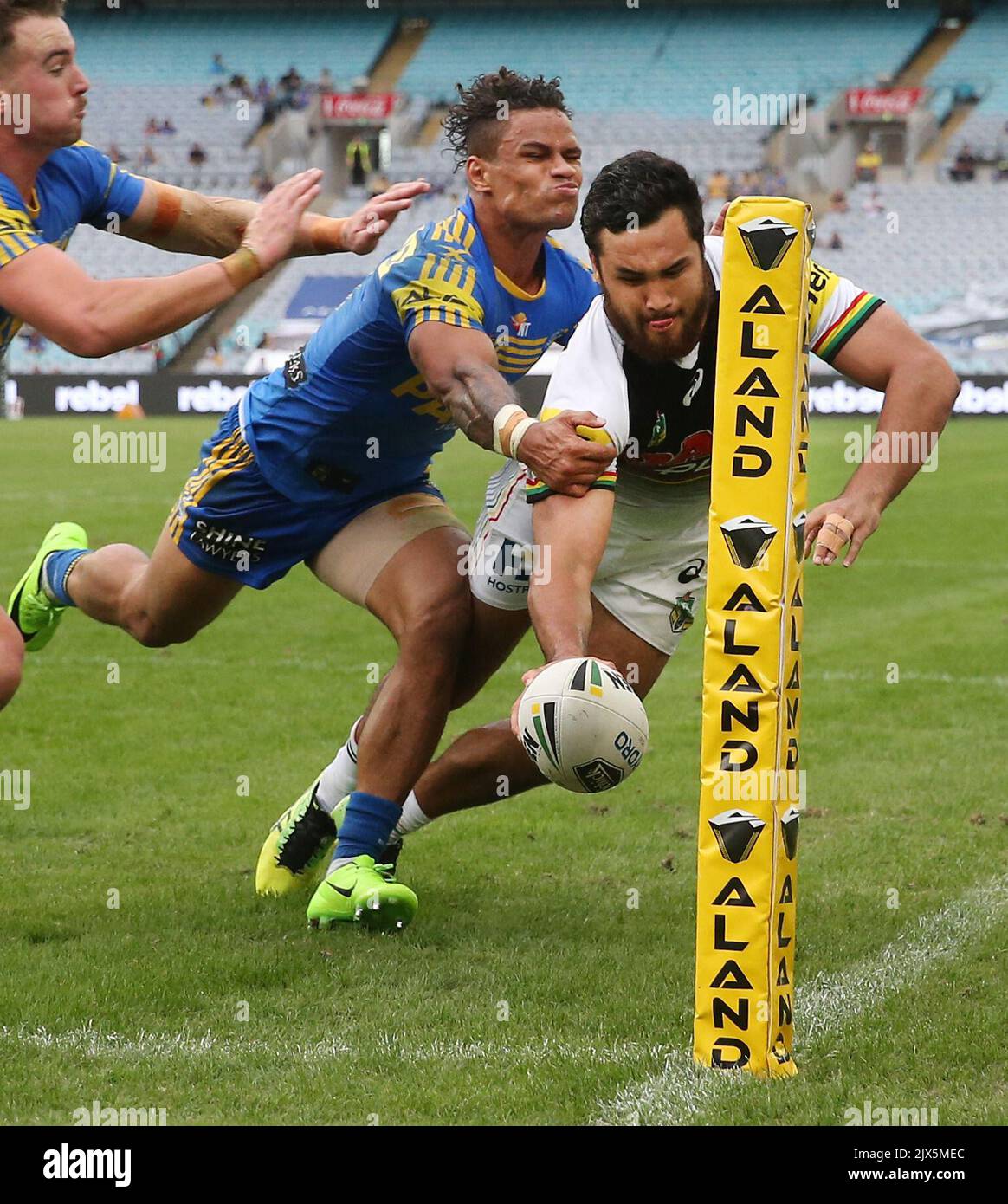 Peta Hiku of the Panthers scores during the Round 8 NRL match between ...