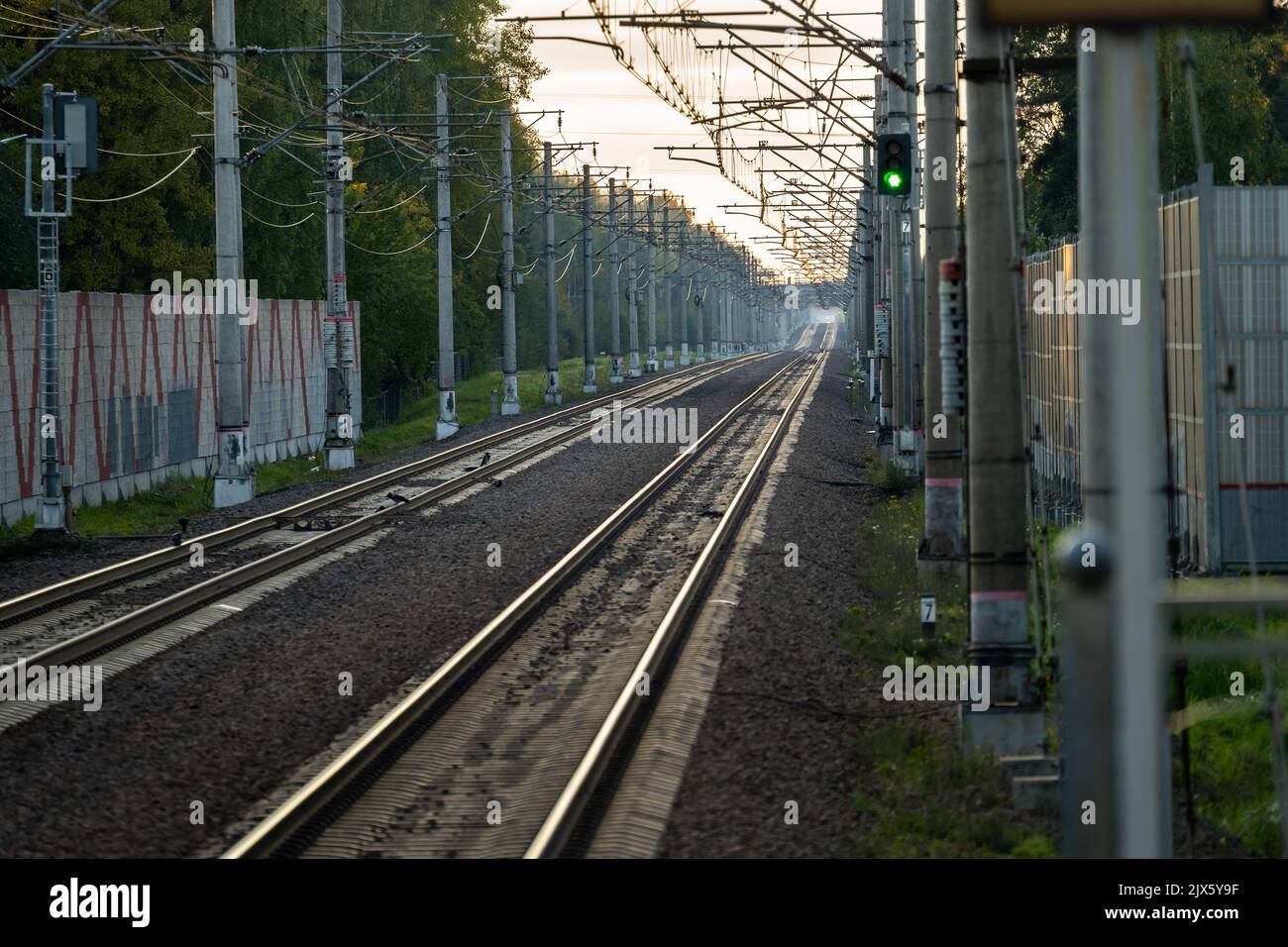 Empty railway tracks at sunset, forest on background. Perspective of electrified high-speed ...
