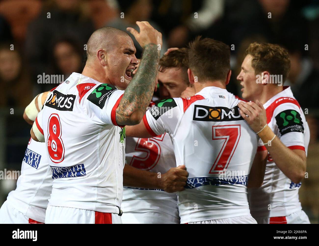 Russell Packer of the Dragons and the team celebrate a try during the ...