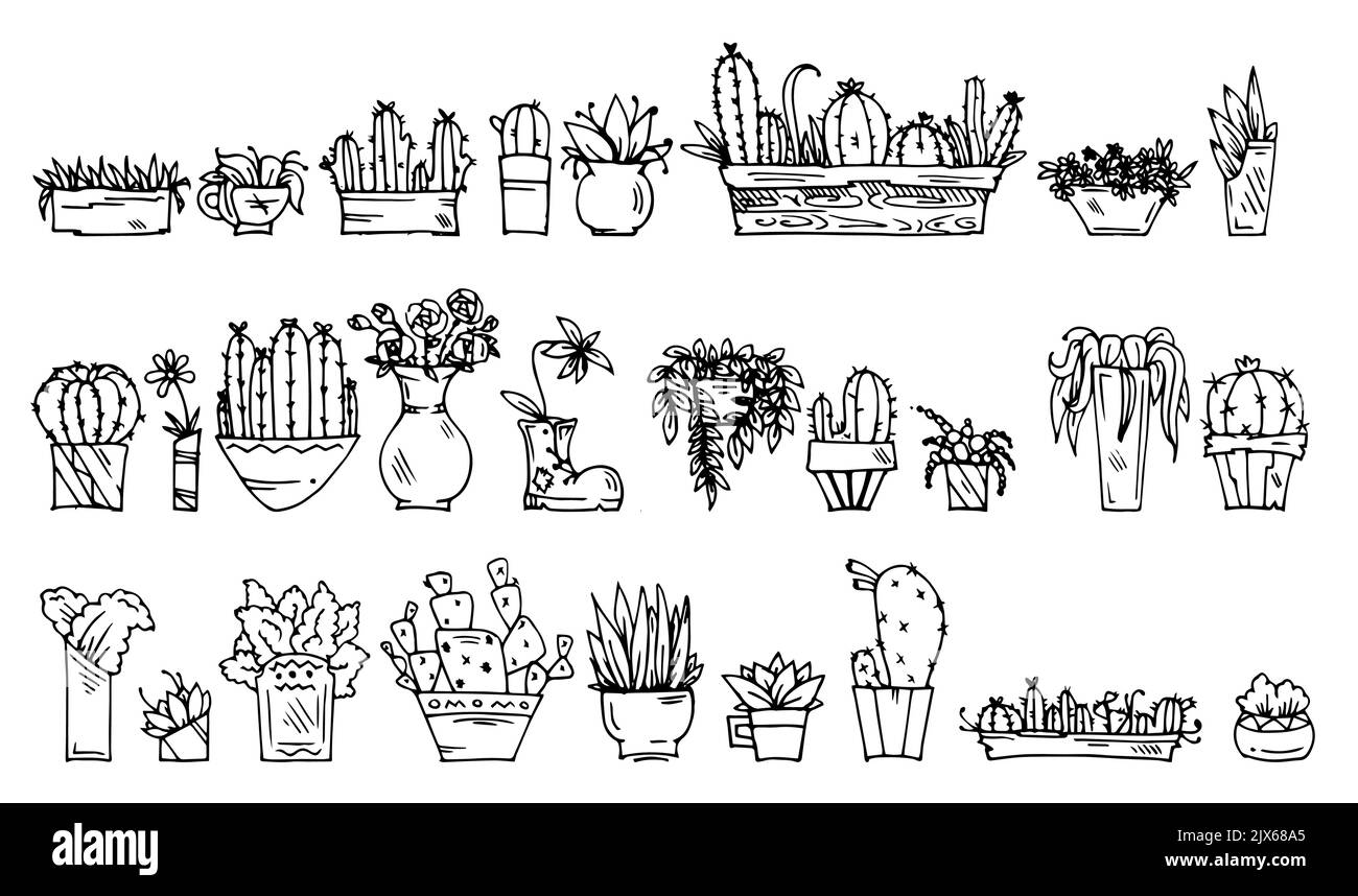 Set of cacti in pots and boxes. Prickly indoor flowers. Outline hand drawn sketch. Drawing with ...