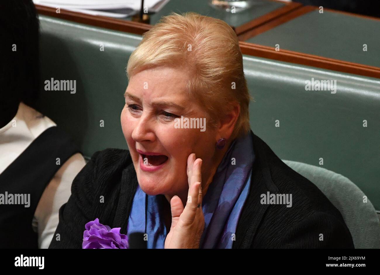Liberal Member for Gilmore Ann Sudmalis during Question Time in the ...