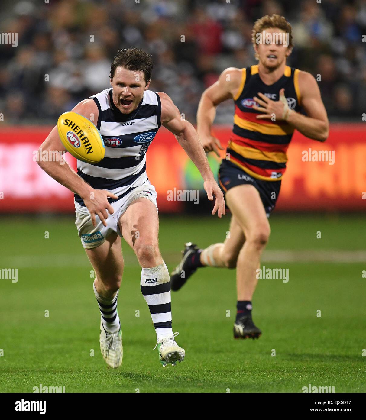 Patrick Dangerfield of the Cats (left) is seen in action during the ...