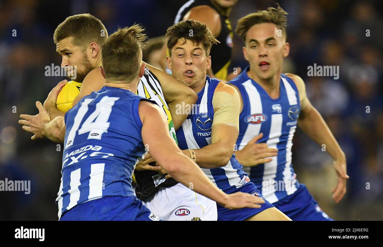 Dan Butler of the Tigers (left) is seen in action during the Round 11 ...