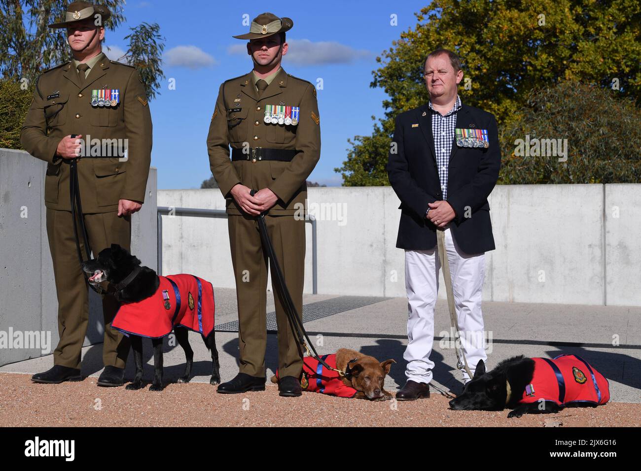 Dog handlers and their military working dogs are seen during an award ...