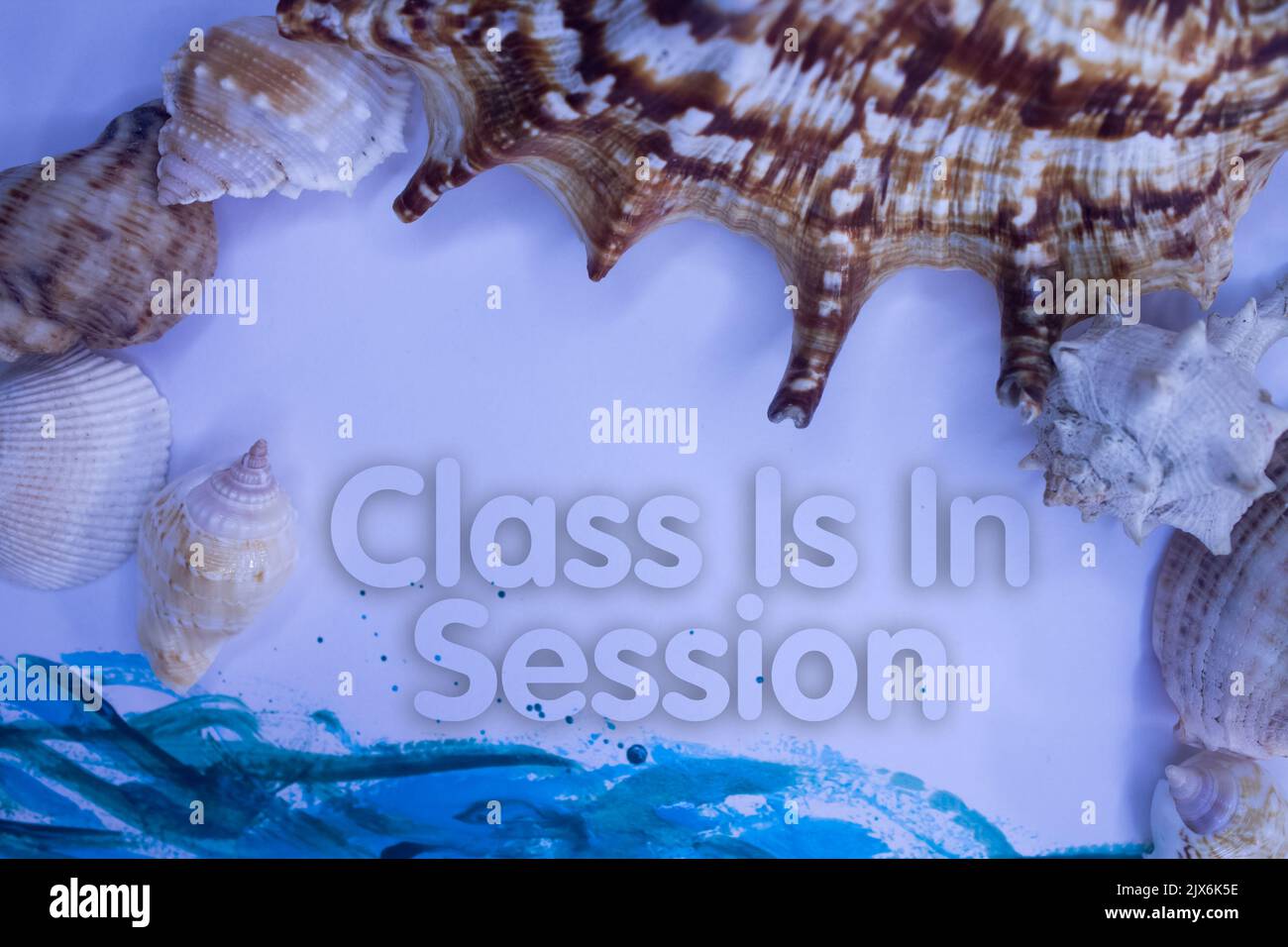 Marine invertebrate class hi-res stock photography and images - Alamy
