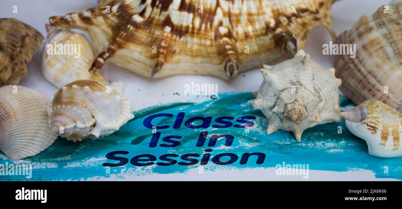 Animal Shell, Summer vacation, marine background with Class Is In ...
