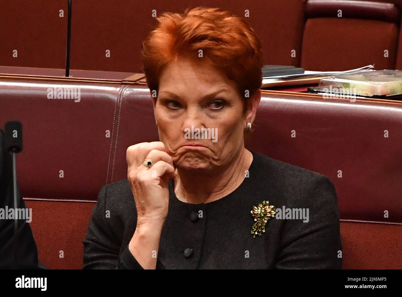 One Nation leader senator Pauline Hanson during a division in the ...