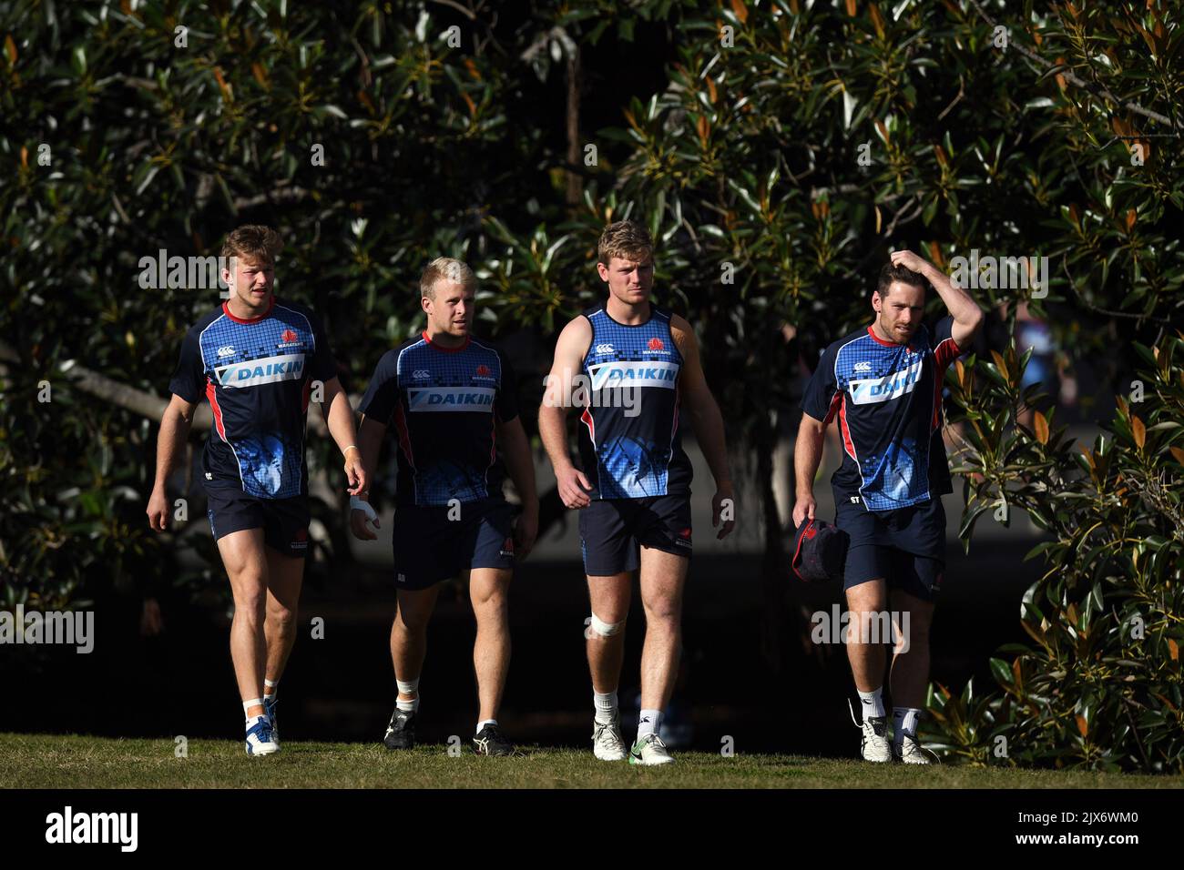 Waratahs Super Rugby players arrive for a training session in Sydney on ...