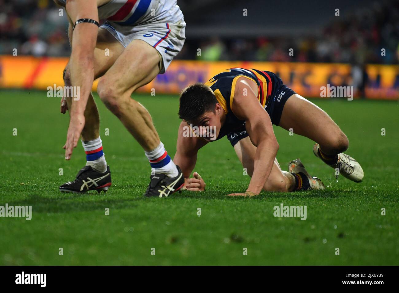 Riley Knight of the Crows falls during the Round 16 AFL match between ...