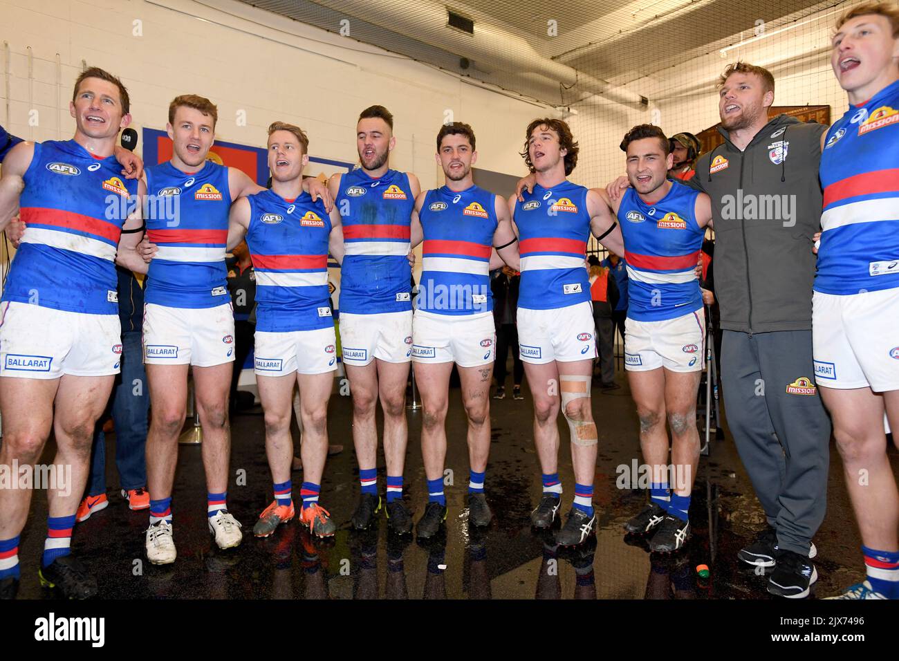 Bulldogs celebrate the side's win, during the round 17 AFL match ...