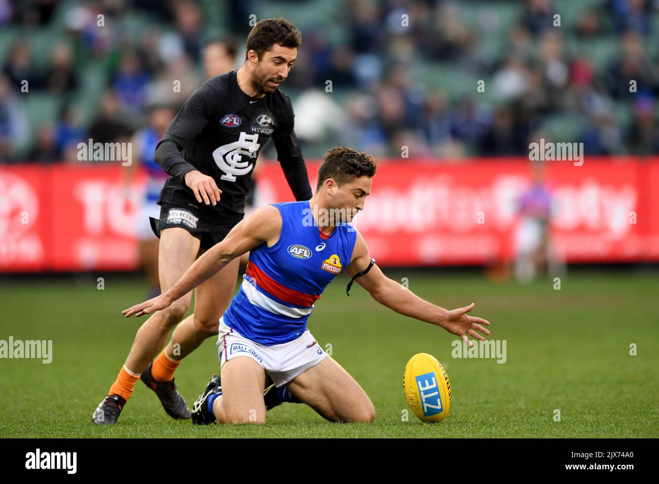 Luke Dahlhaus of the Bulldogs and Kade Simpson of the Blues contest for ...