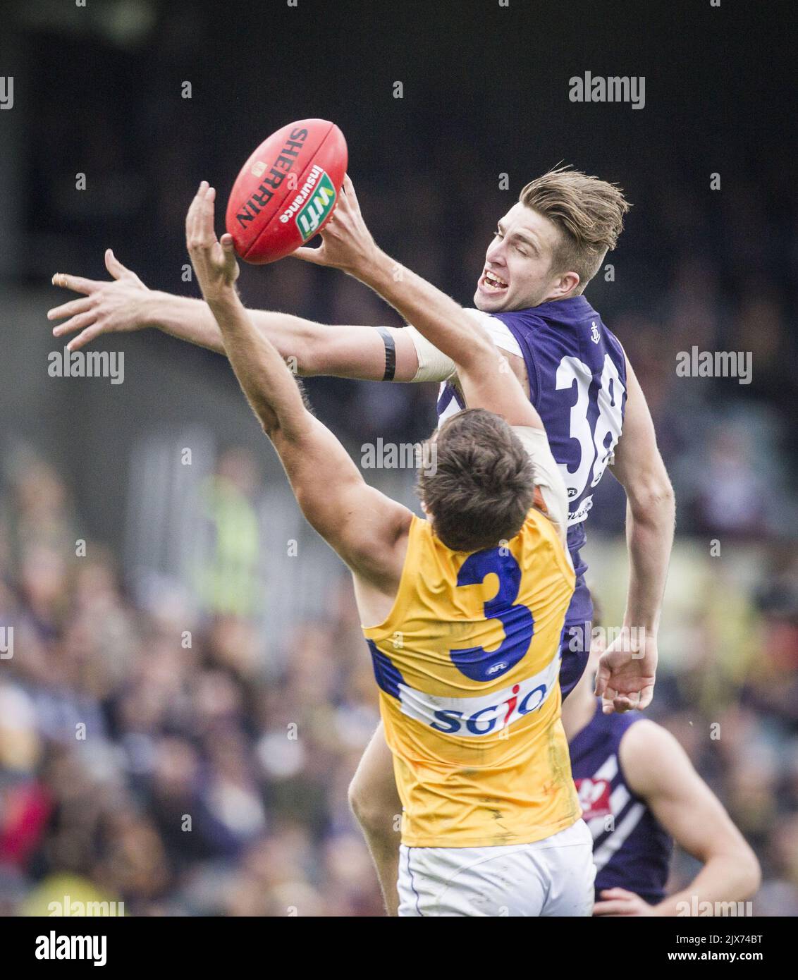 Luke Ryan of the Fremantle Dockers and Andrew Gaff of the West Coast ...