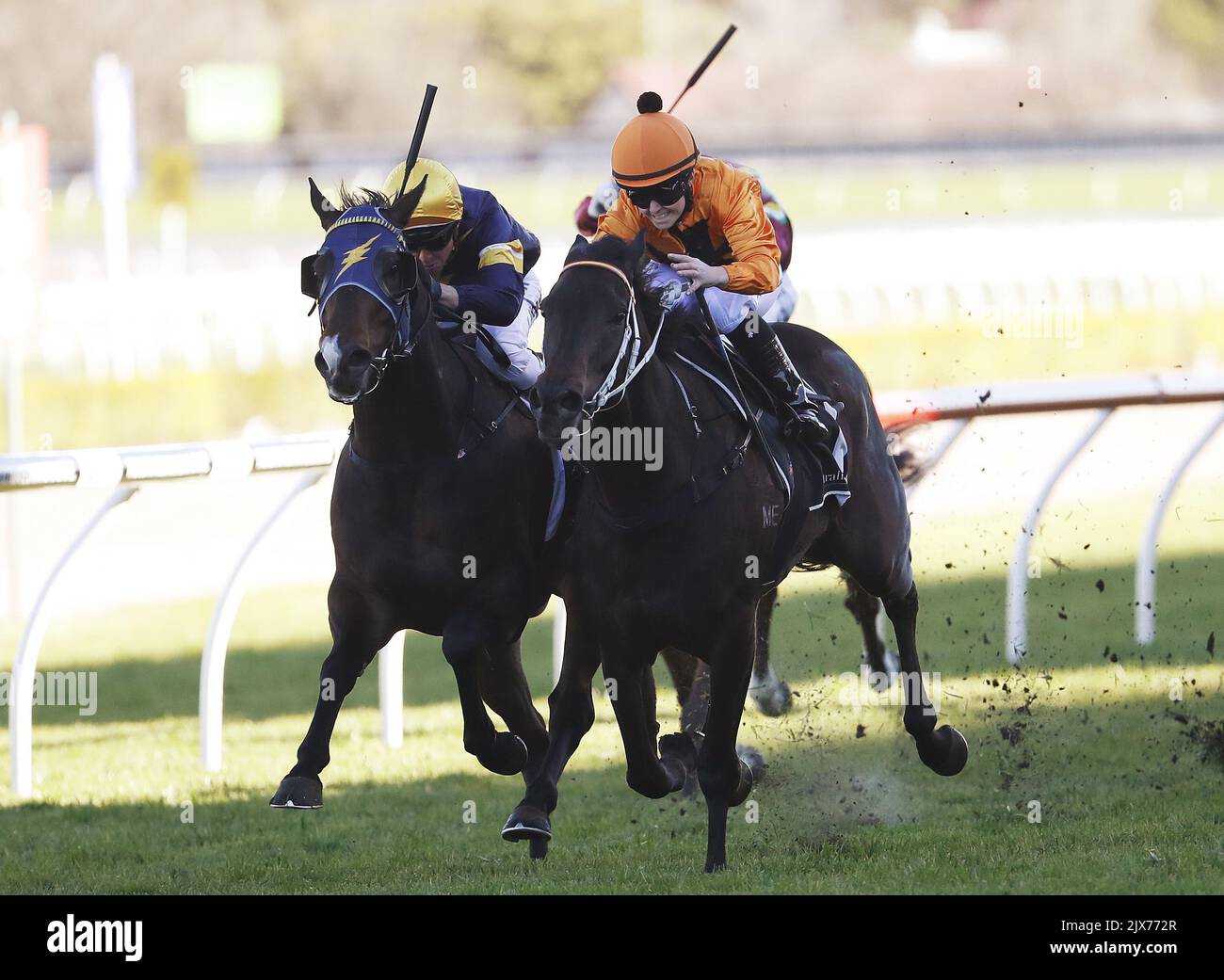 Rachel King rides Sound Proposition to win Race 6 - ATC Heritage ...