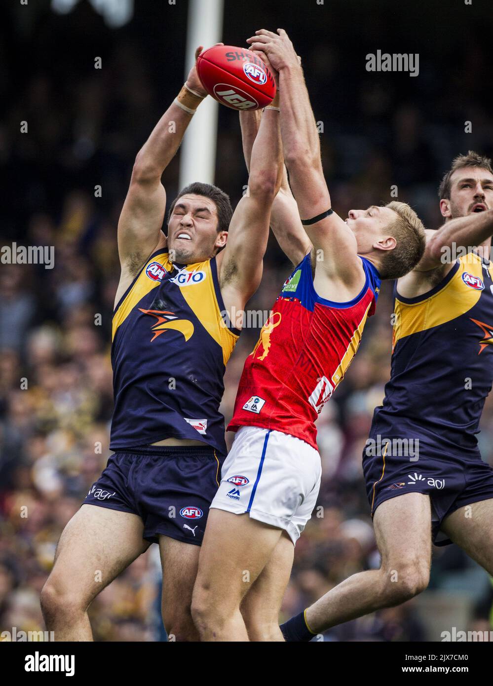 Tom Barrass of the West Coast Eagles and Nick Robertson of the Brisbane ...