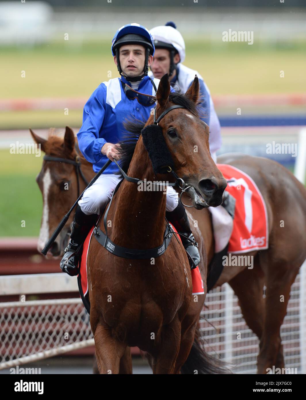 Jockey Jake Duffy on Sanadaat during Race 1 the Jim Conway Handicap ...