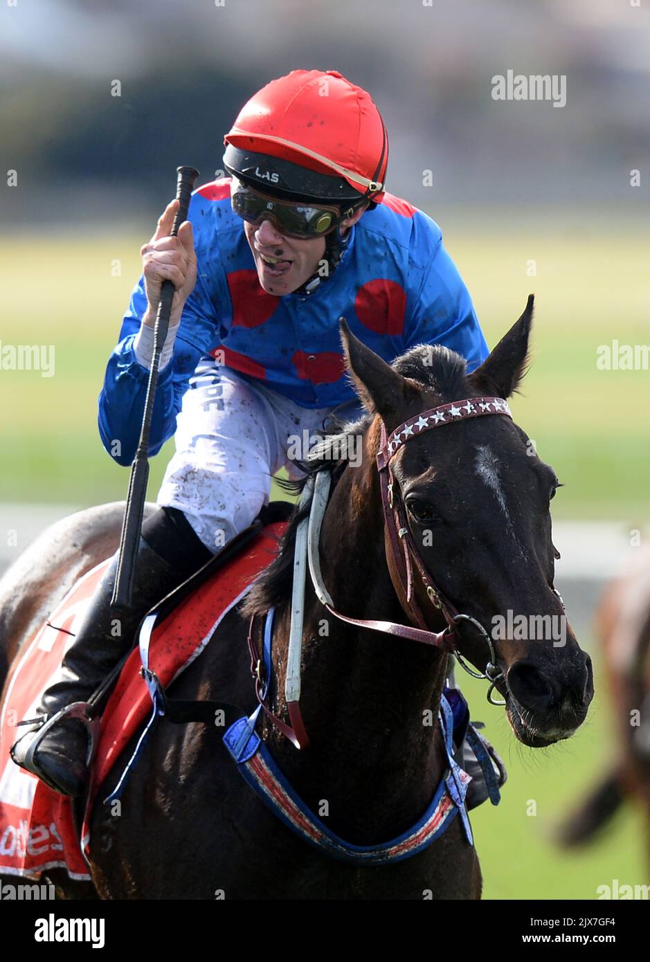 Jockey John Allen celebrates riding Ancient King to win in Race 5 the ...