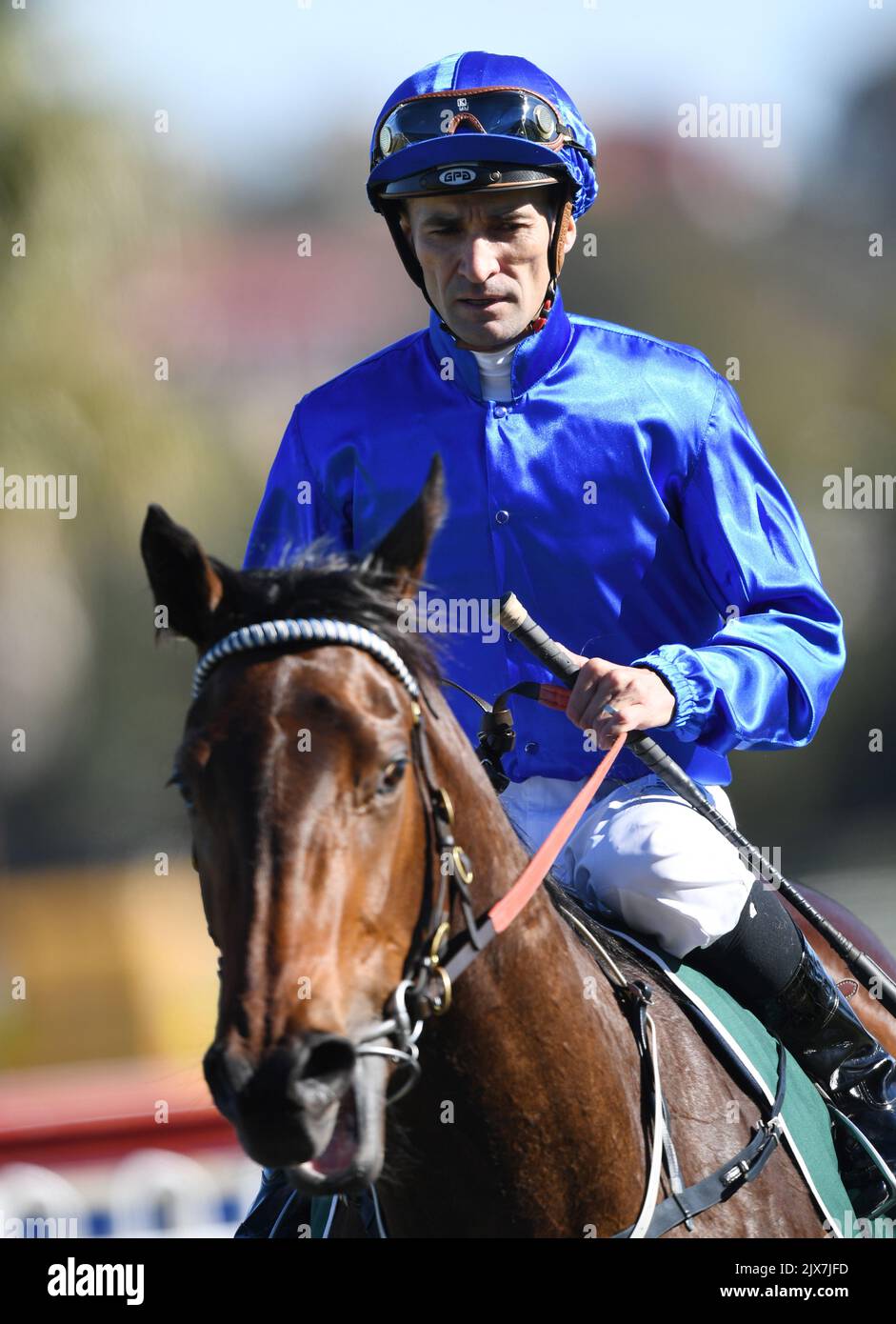 Jockey Corey Brown on Regimen returns to scale after winning the All ...