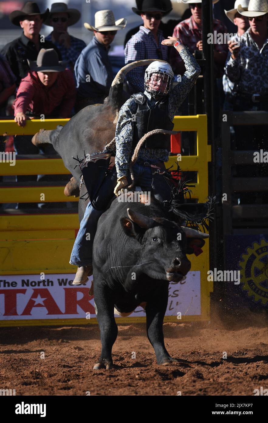 A competitor takes part in a Bull Riding competition at the Mt Isa ...