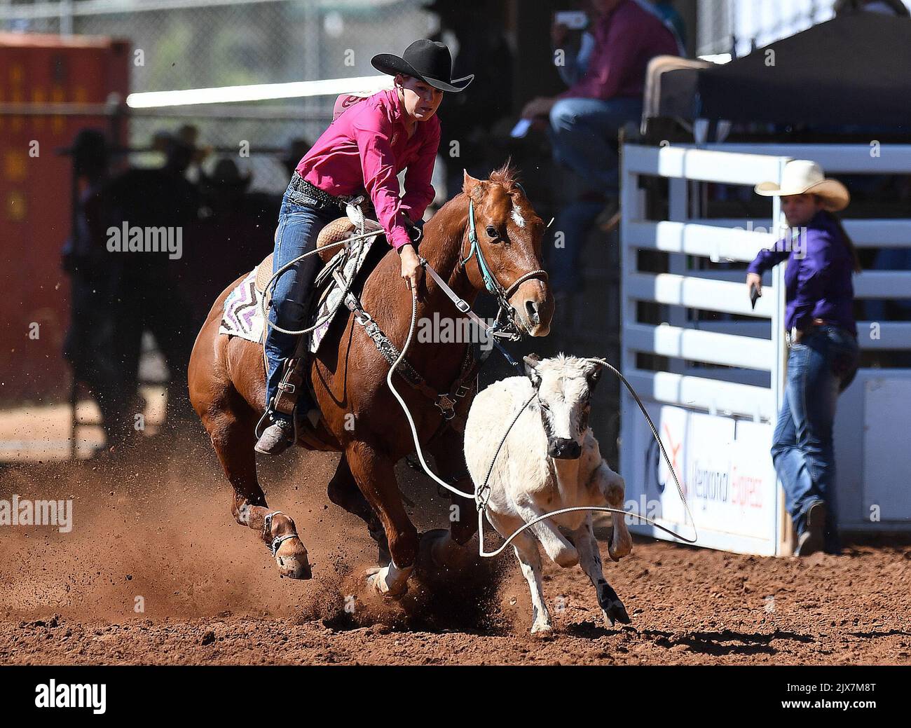 A competitor takes part in the Ladies Breakaway Roping category at the ...
