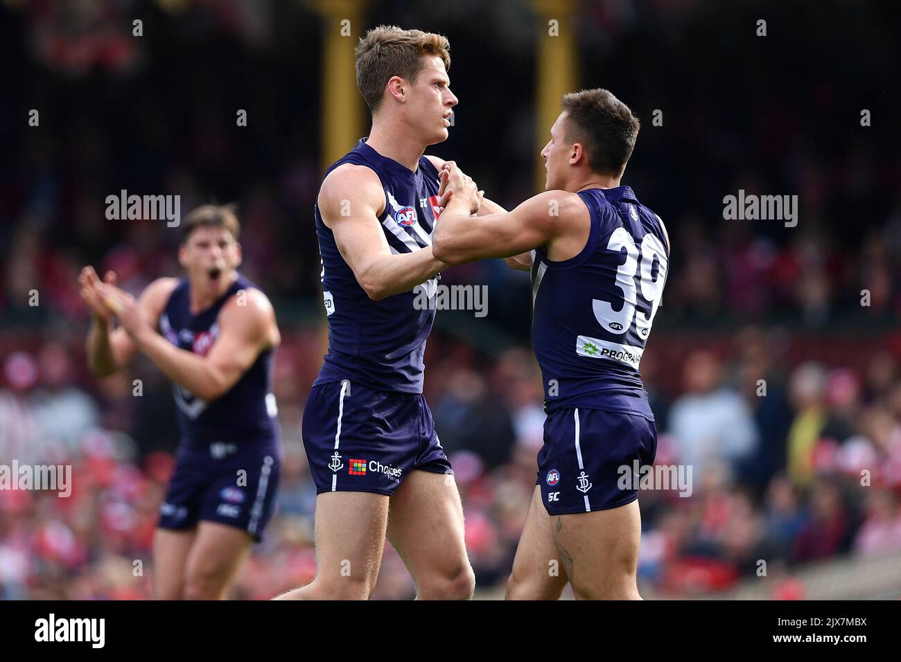 Matt Taberner of the Dockers celebrates a goal during the Round 21 AFL ...