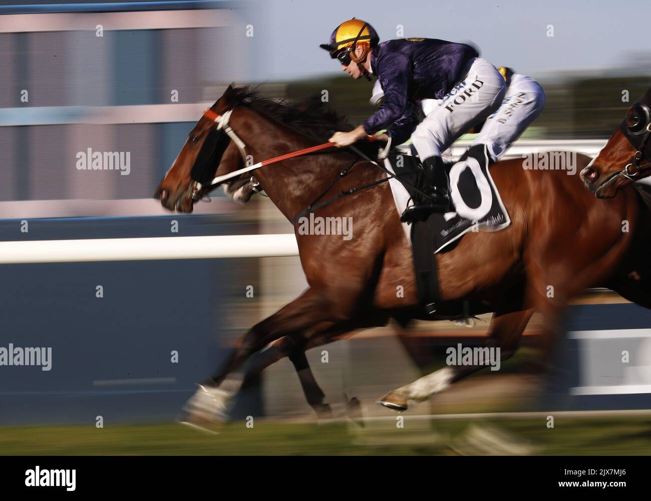 Jockey Jay Ford rides Kingsguard to win Race 7: Canterbury Hurlstone ...