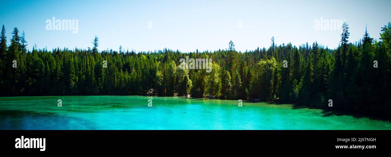 See and forest Stock Photo - Alamy