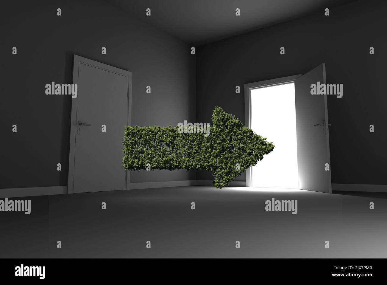 Arrow sign of topiary at doorway against white background Stock Photo ...