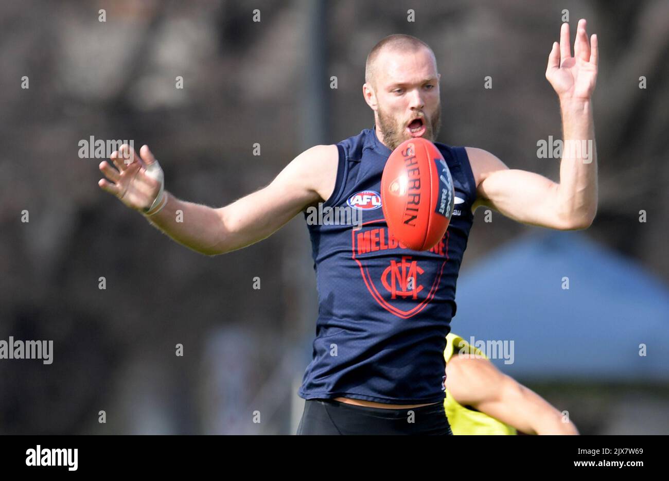 Demons player Max Gawn during a Melbourne Demons open training session ...