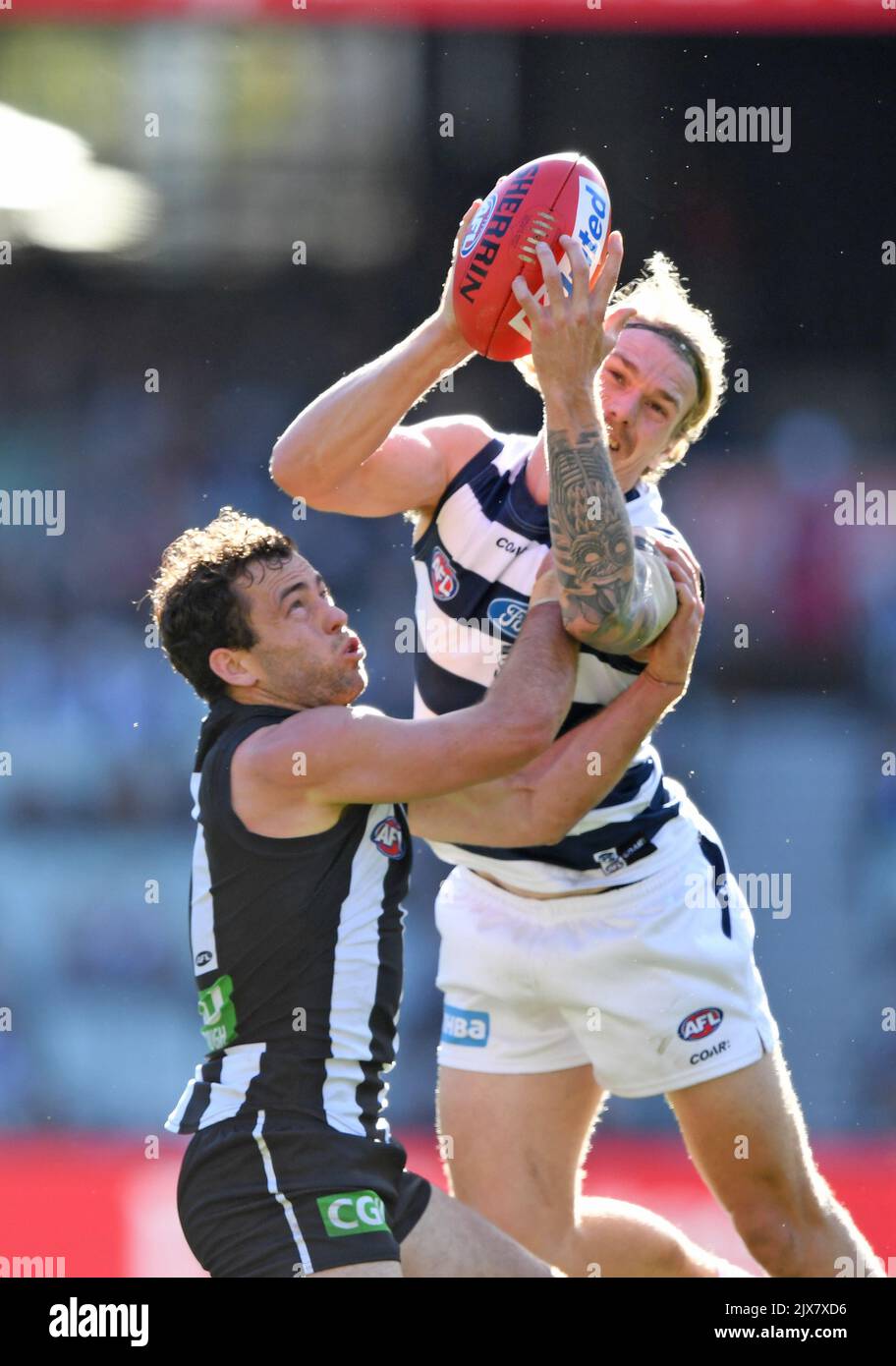 Tom Stewart of the Cats takes a mark over Jarryd Blair of the Magpies ...